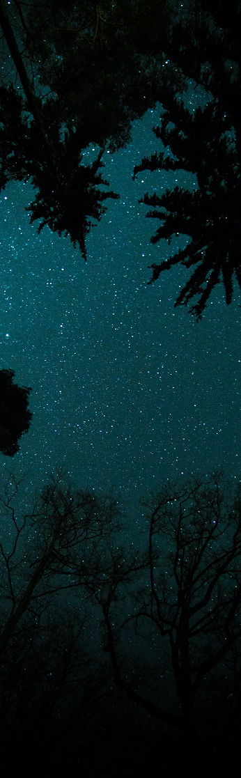 Megic: Unleash Your Creativity with Megic Be Seen,Be Heard